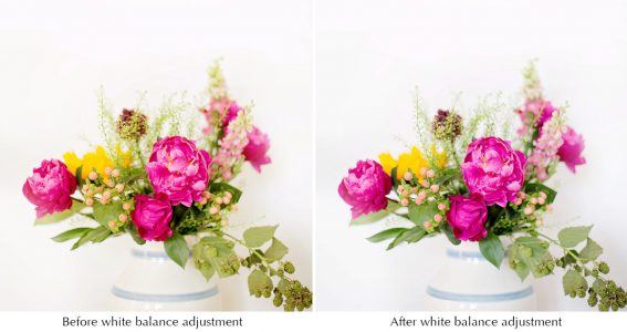 From JPEG to RAW: A Beginners Guide to Start Shooting in RAW - The Easy ...