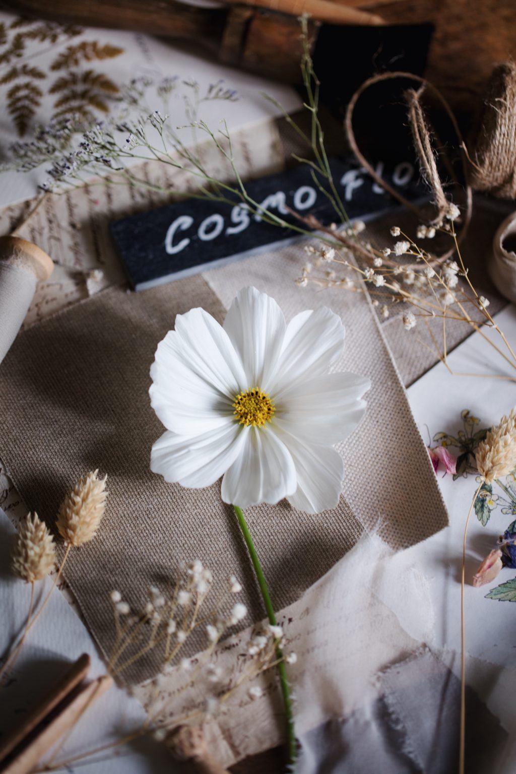 Comparing Image Quality: DSLR vs Compact Camera vs iPhone - CHRISTINA GREVE