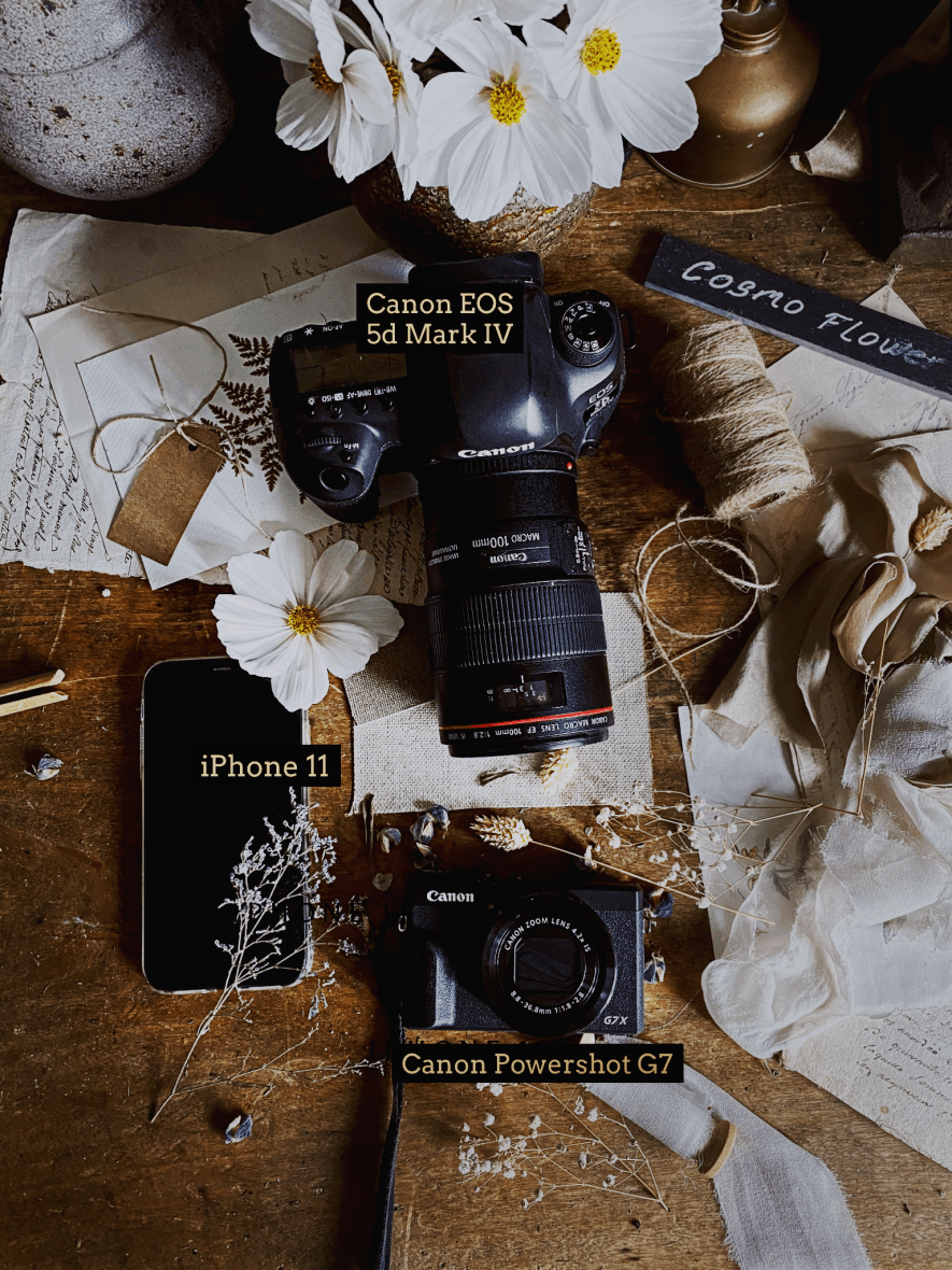 Comparing Image Quality: DSLR vs Compact Camera vs iPhone - CHRISTINA GREVE